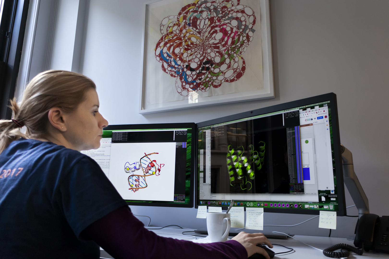 A Look at the Flatiron Institute’s Groundbreaking Research | Simons Foundation 2022 Annual Report