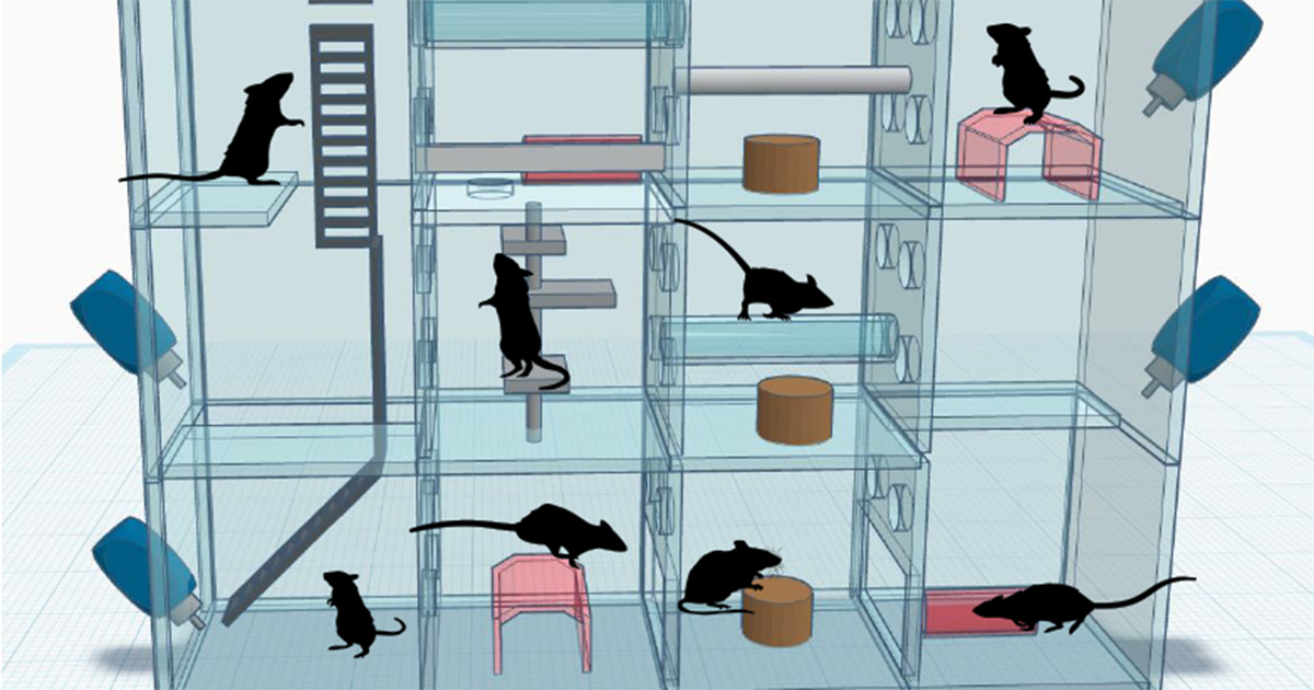 Scottish Neuroscience Initiative Takes Basic Science From Lab to Clinic ...
