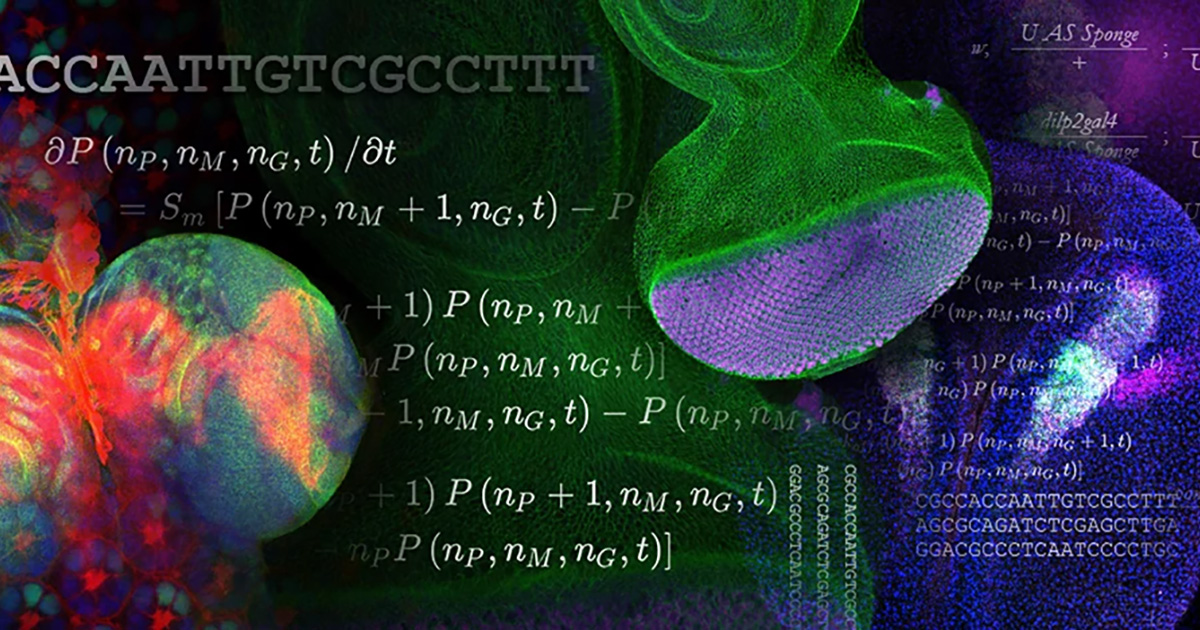 New $50 Million Institute Aims to Use the Power of Math to Model ...